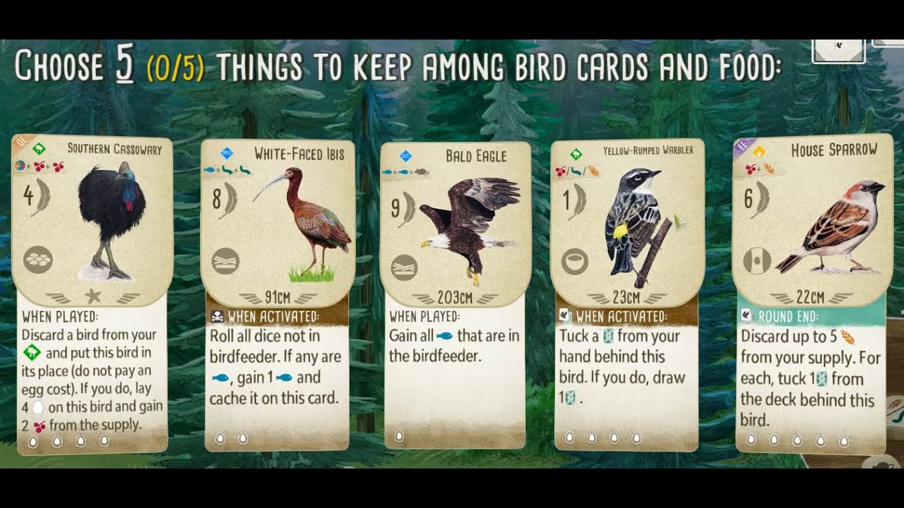 STT Tournament Stage 1, Game 3 - How Many Warbler Tucks Can I Get ...