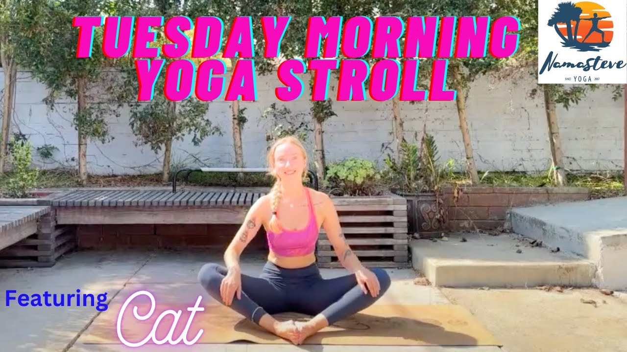 Tuesday Morning Yoga Stroll - All Levels Yoga - 60 Min Vinyasa - YouTube