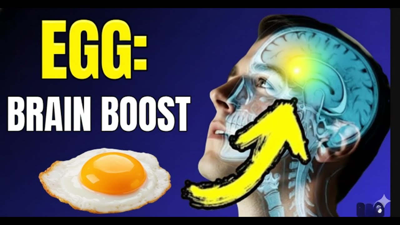 WHY I Eat 4 Eggs EVERY Day 65% Fuel & Brain Boost Science - YouTube