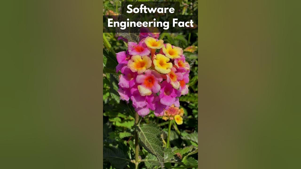 Programming Humor | Funny Developer Jokes and Coding Fails | #Shorts #ProgrammingHumor - YouTube