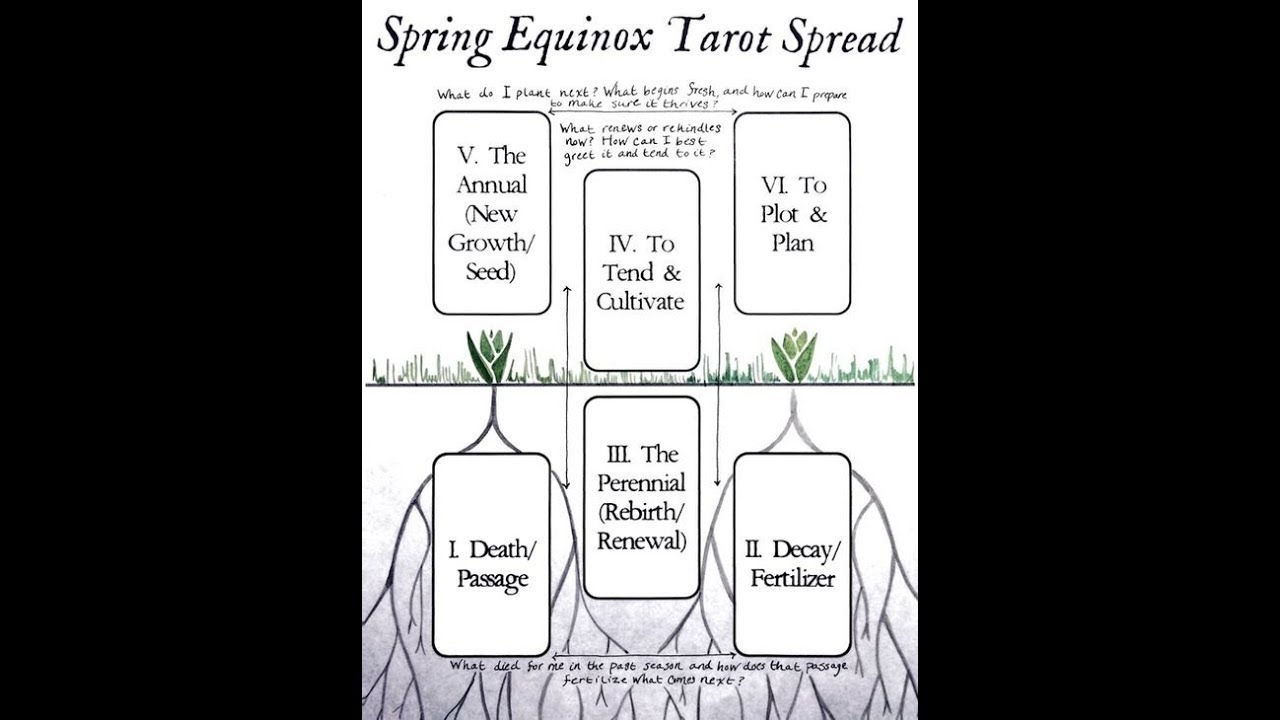 Spring Equinox Tarot Spread! - YouTube