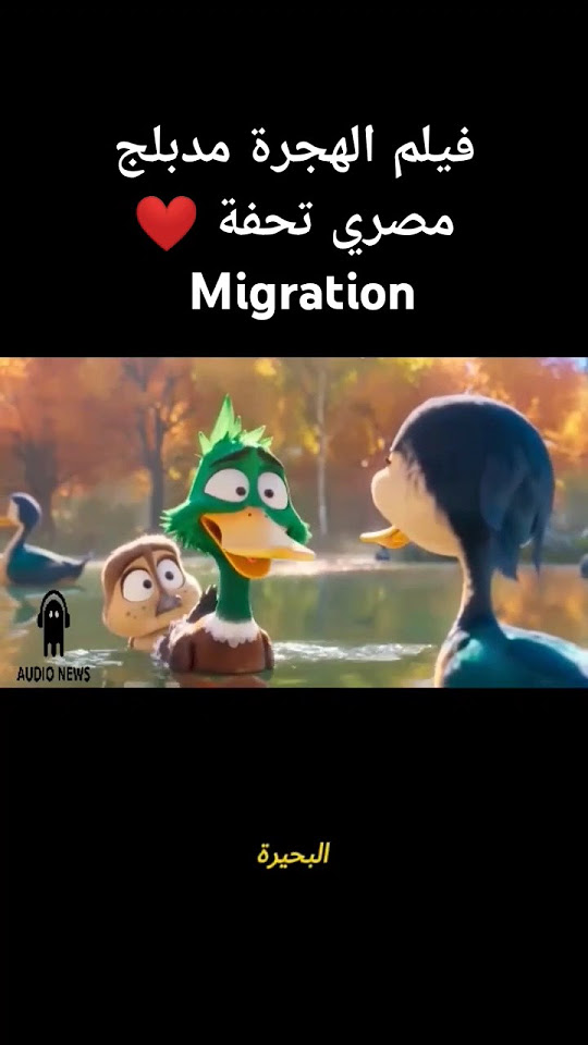 فيلم الهجرة مدبلج مصري تحفة ️ Migration Shorts Youtube