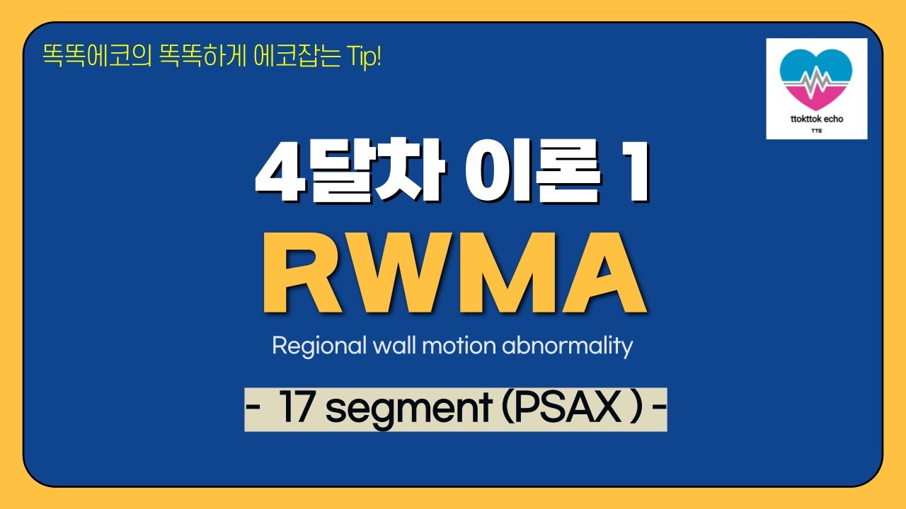 RWMA - 17 segment (PSAX) #심장분절 # segement #echocardiography #심장초음파 #똑똑 ...