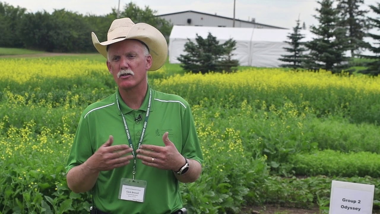 Herbicide Matrix at Crop Diagnostic School - YouTube