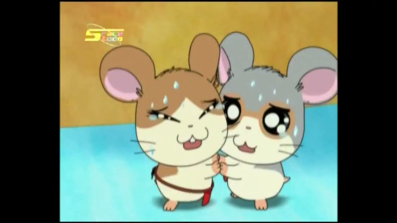 Hamtaro Hai Episode 21 - Hebat Berpanas-panasan - Bahasa Indonesia ...