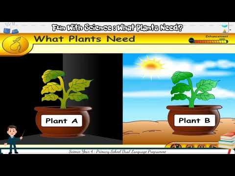 Year 4 Science Interactive Learning : Unit 4 : What Plants Need? Plants ...