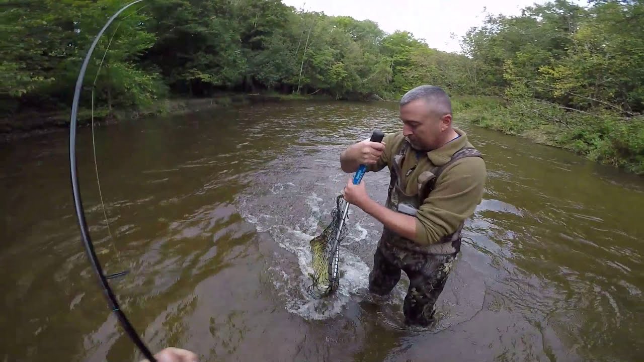 Great day on the Betsie river - YouTube