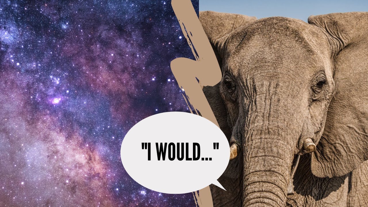 Existential Inertia (with Elephant Philosophy) - YouTube