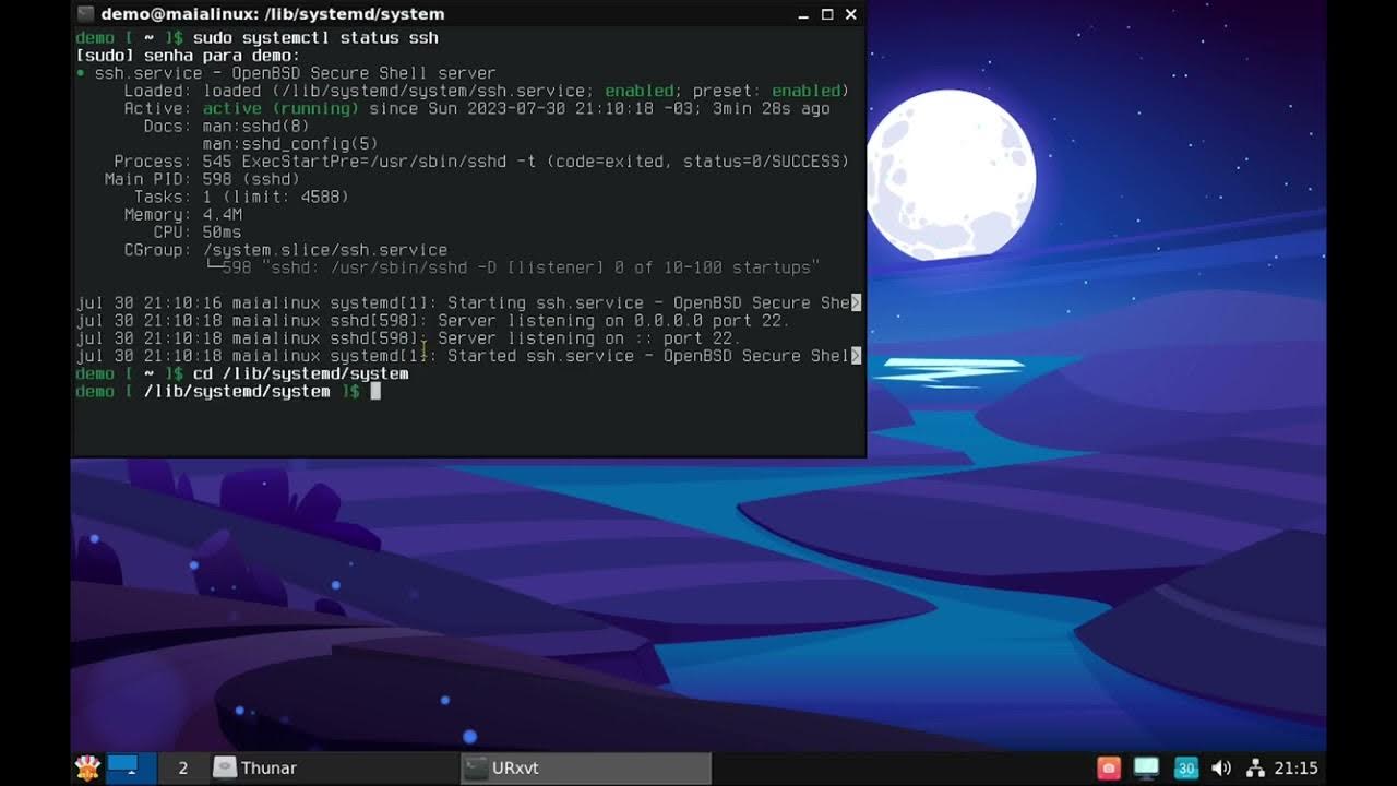 Como Iniciar um programa ShellScript na inicialização do linux ...
