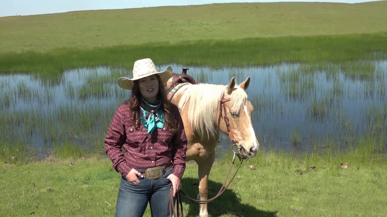 Lazy K Ranch - How to use our online catalog. - YouTube