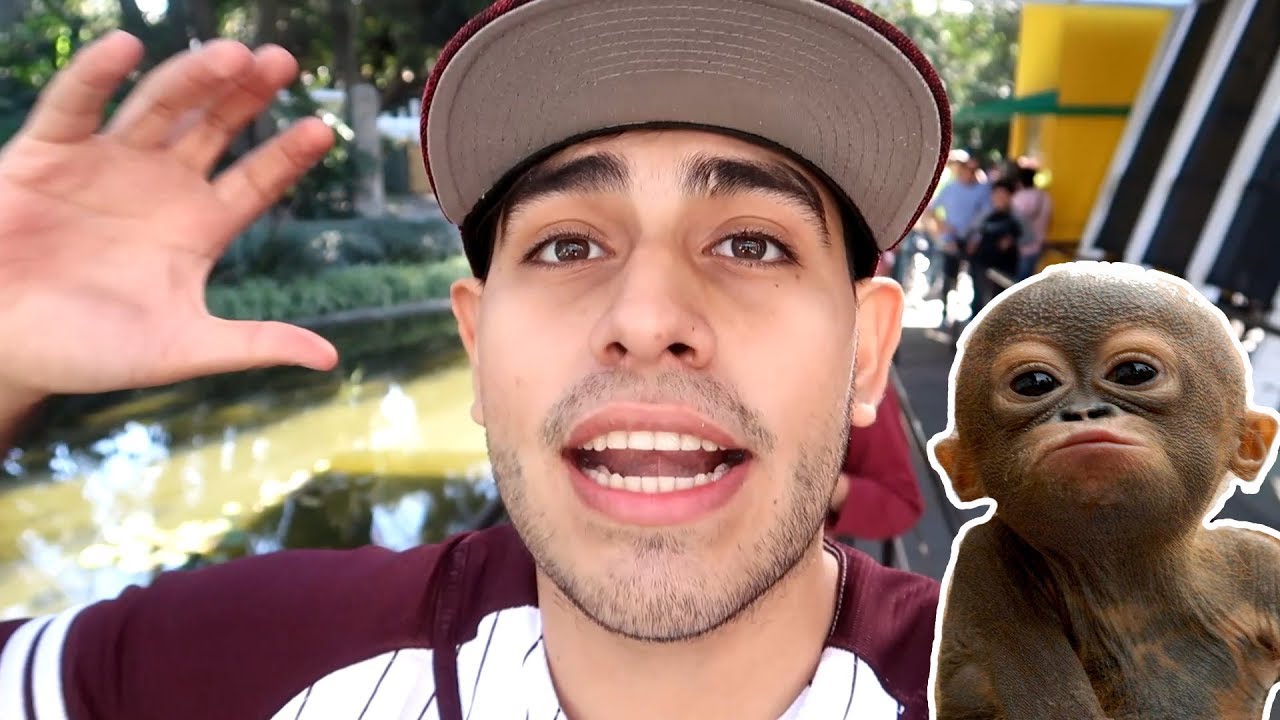 ESTE ES EL ZOOLOGICO MAS GRANDE DE MEXICO|| ME C4G0 UN CHANGO - YouTube