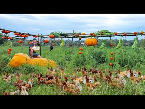 Brilliant Farm Ideas That Will Amaze You! Raising Chickens & Ducks ...