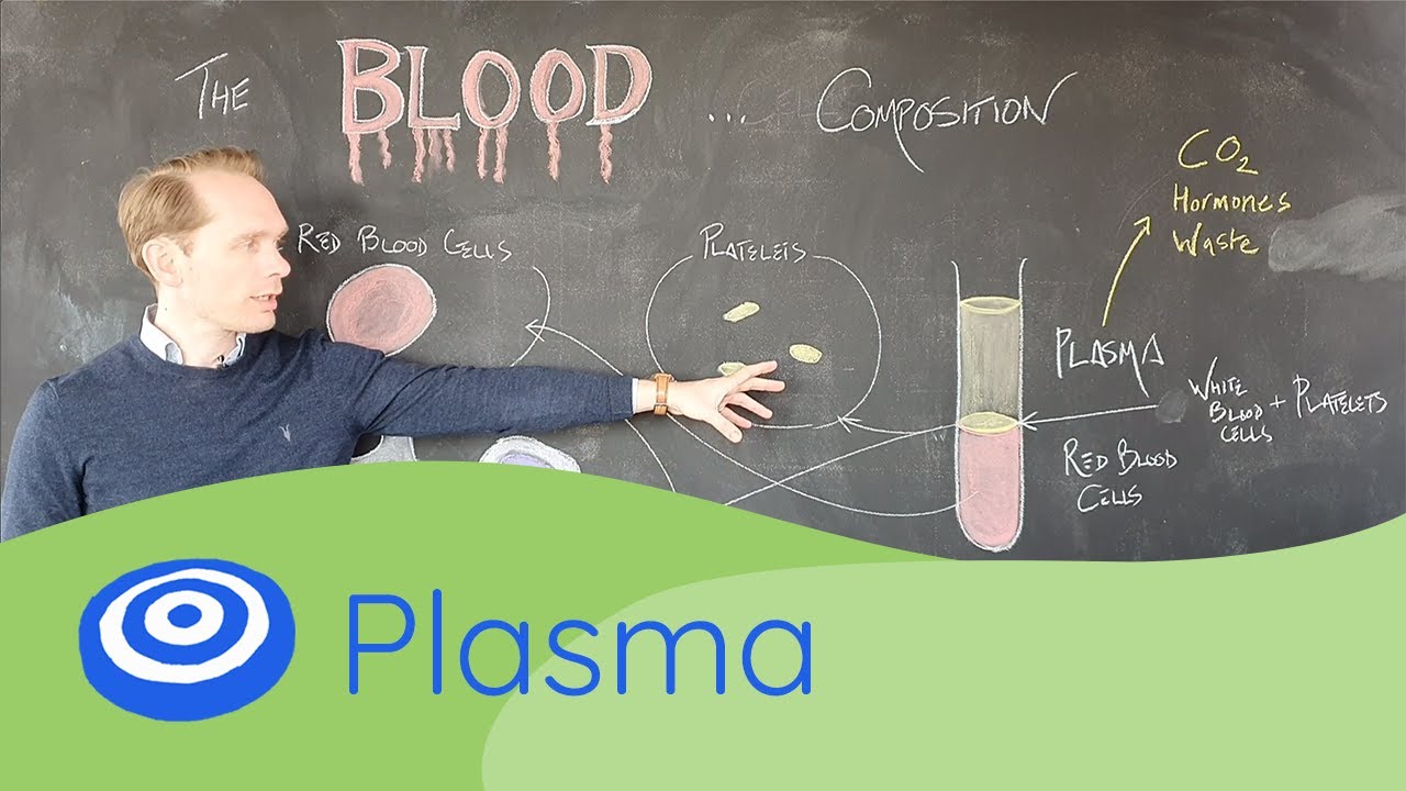 Plasma - GCSE science, Biology (9-1) - YouTube