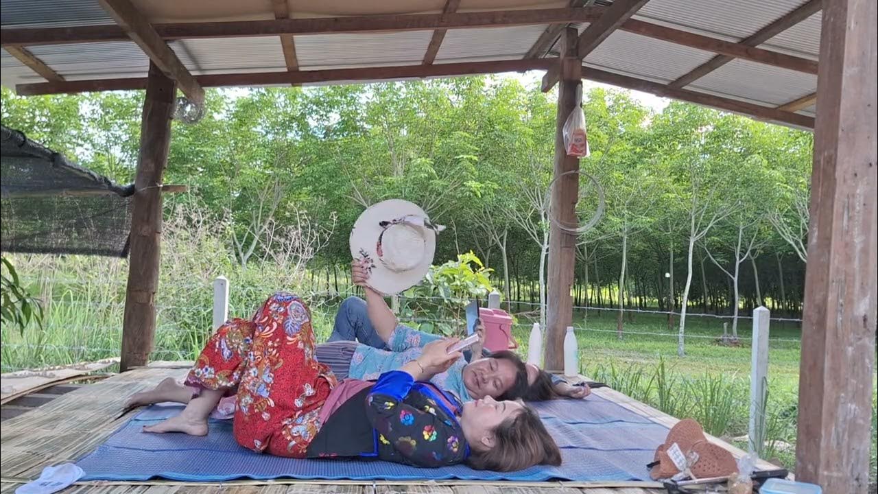 mus ua teb sab heev li los pw ib pliag tso mas mus ua teb dhua nawb 3/7/2024 - YouTube