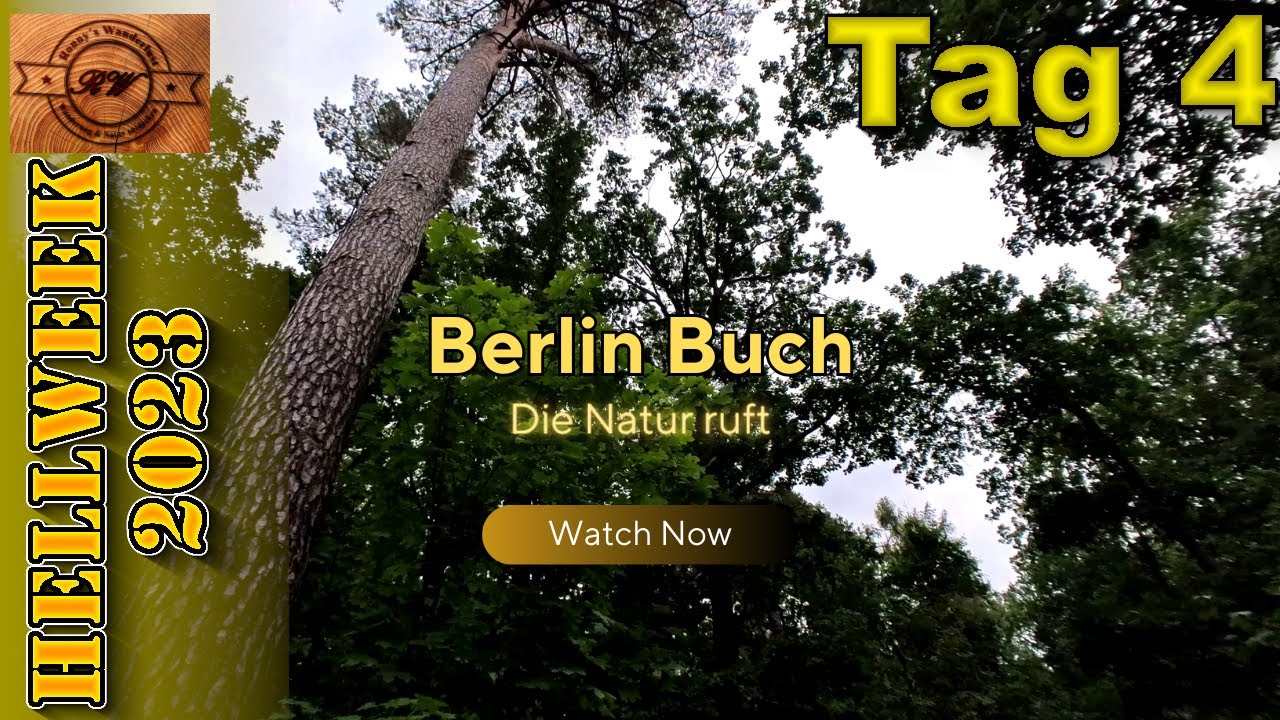 Mammutmarsch Hellweek | Tag 4 | Bucher Forst - YouTube