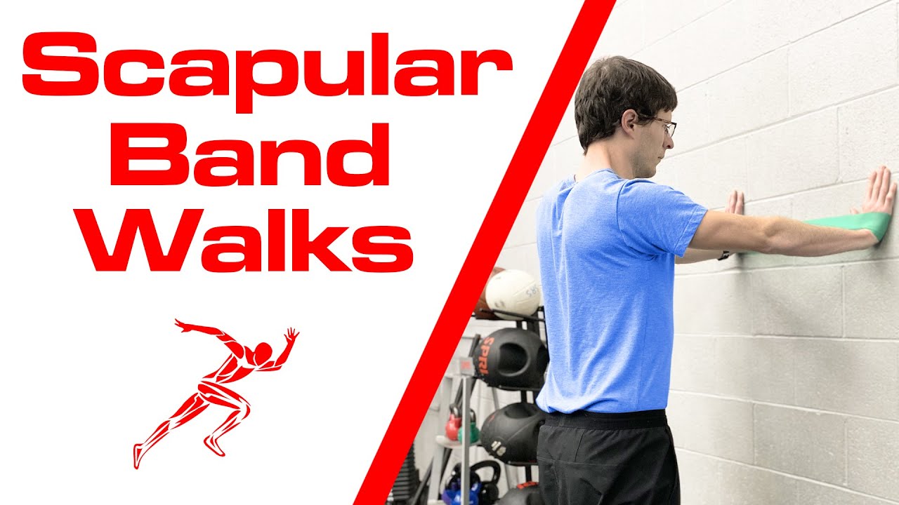 Scapular Band Walk Exercise - YouTube