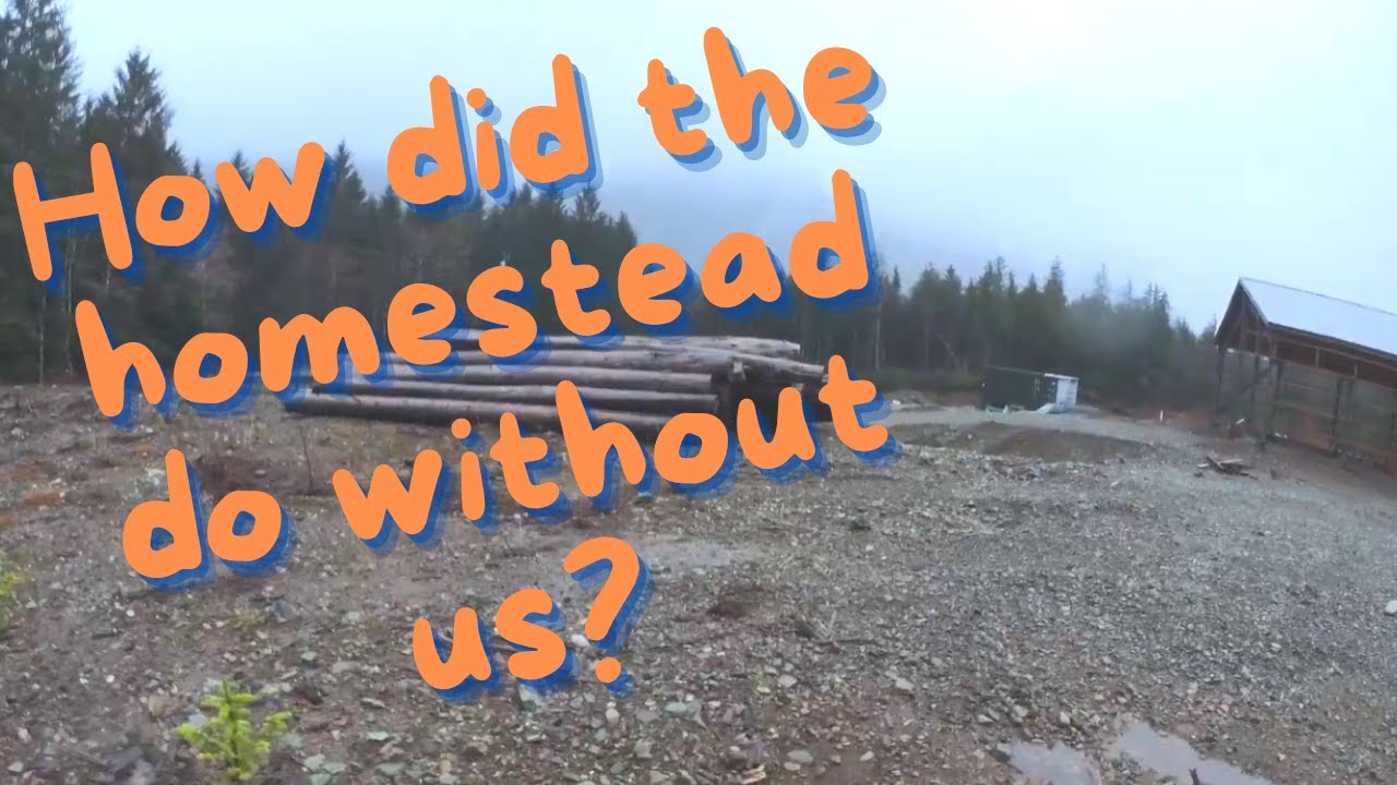 Alaska homestead update tour: last visit for the year - YouTube