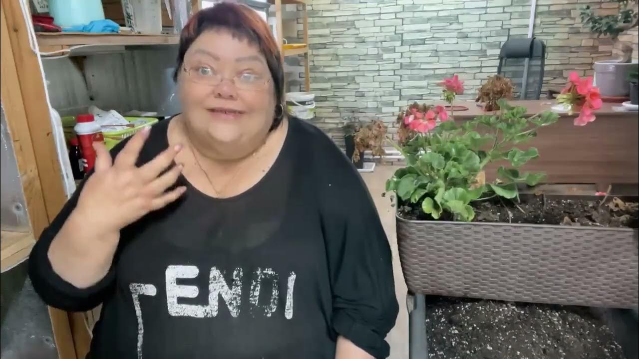 КАК СОХРАНИТЬ ПЕЛАРГОНИИ В ЗИМУ - YouTube