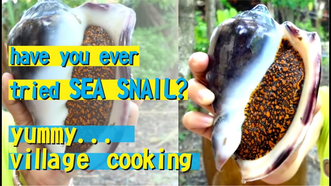 Snail Eating | Bizarre Food | Exotic Recipe | Village surviving with ...
