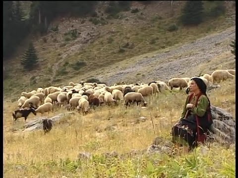 ΑΦΙΕΡΩΜΑ ΣΤΟΝ ΠΑΝΤΕΛΗ ΣΟΥΛΗ Μια Βλαχοπούλα Στη Στάνη Παει Με Αυτο Το ...