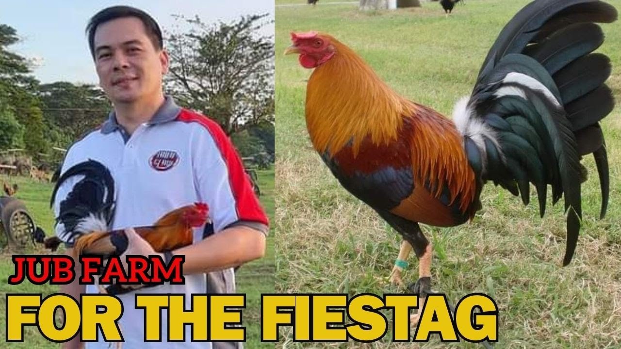 For The Fiestag - Cecil Davis Kelso Joe Goode Grey Gilmore Hatch - JUB ...