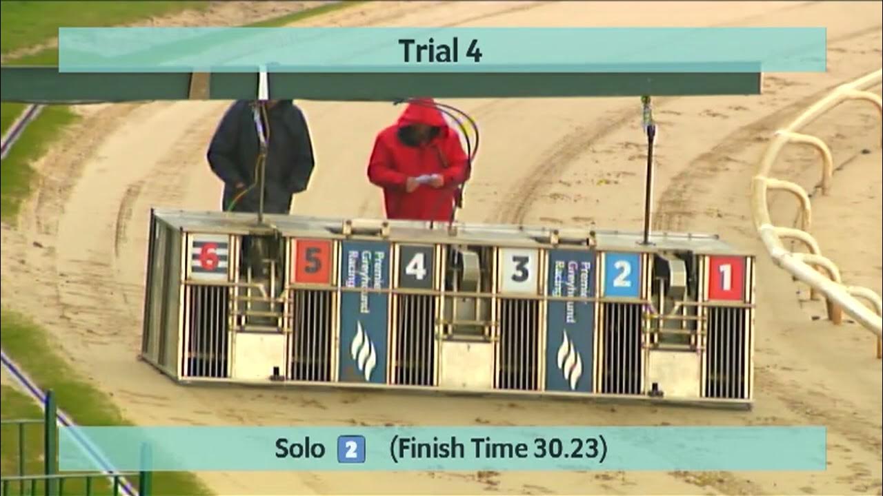 Monmore Greyhounds Trials on 31st March 2023 - YouTube Monmore Greyhounds Trials on 31st March 2023 - YouTube