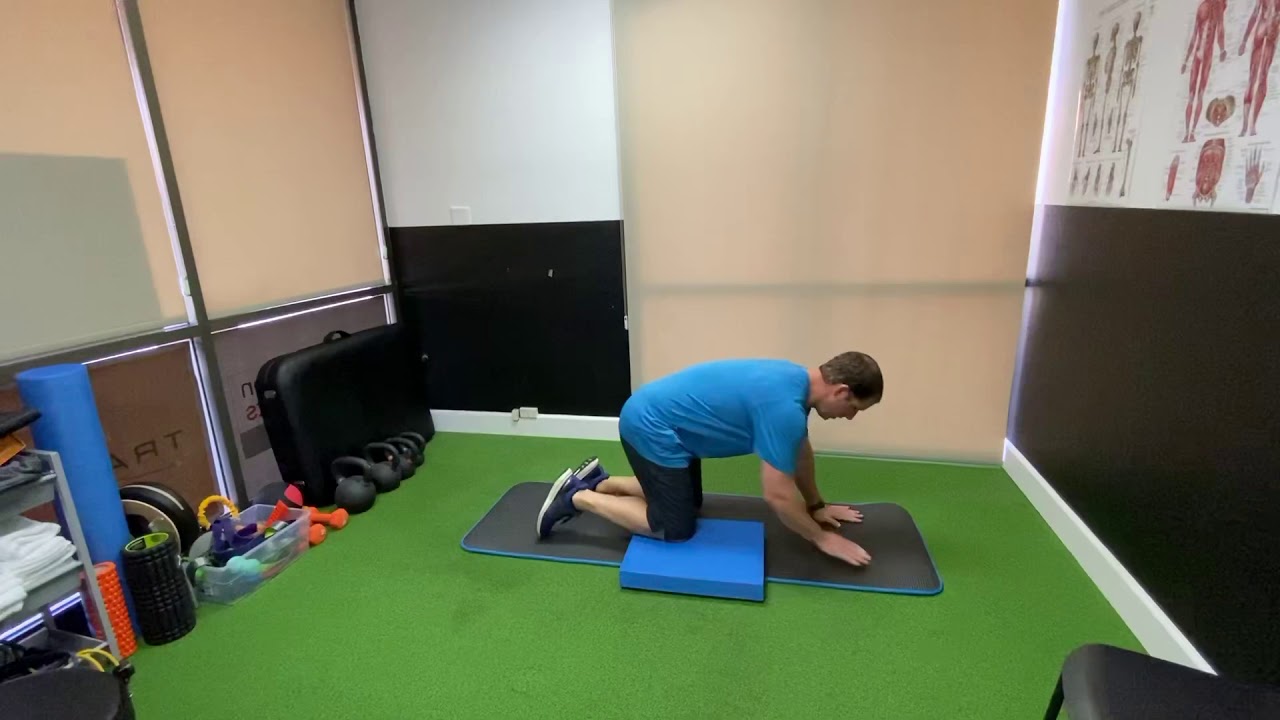 Quadruped Multifidus Lifts - YouTube