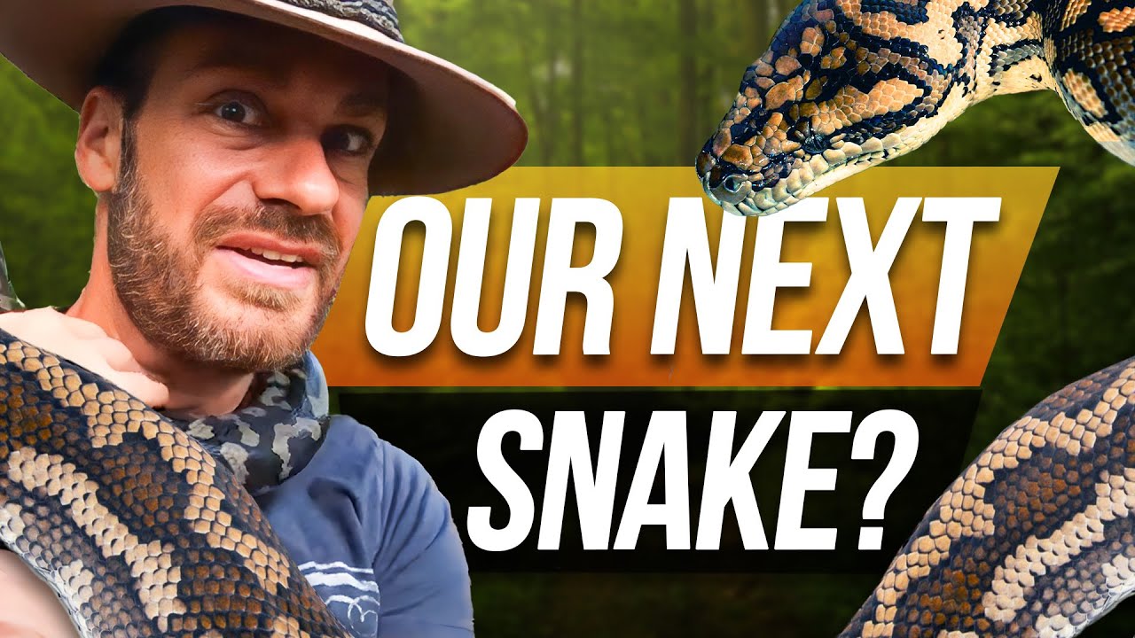 We NEED another SNAKE! - YouTube