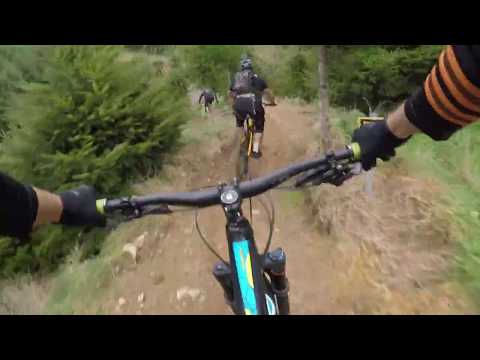 Dirt Farm 28th April 2019