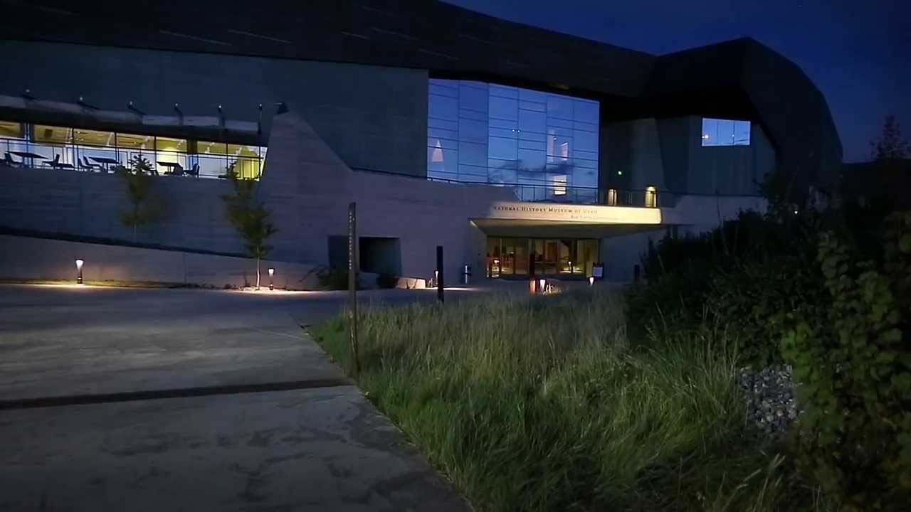 Late Night at the Museum - YouTube