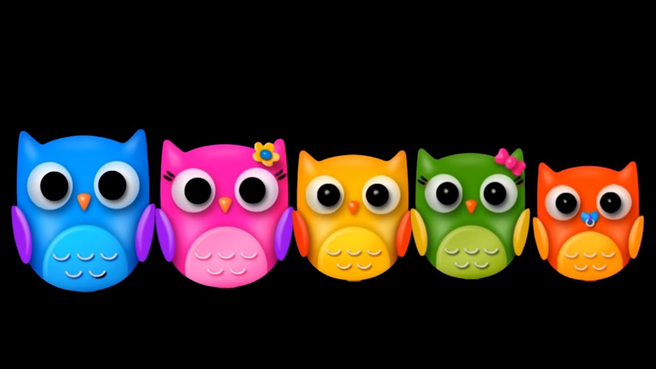 The Finger Family BIRDS Family Nursery Rhyme | BIRDS Finger Family ...