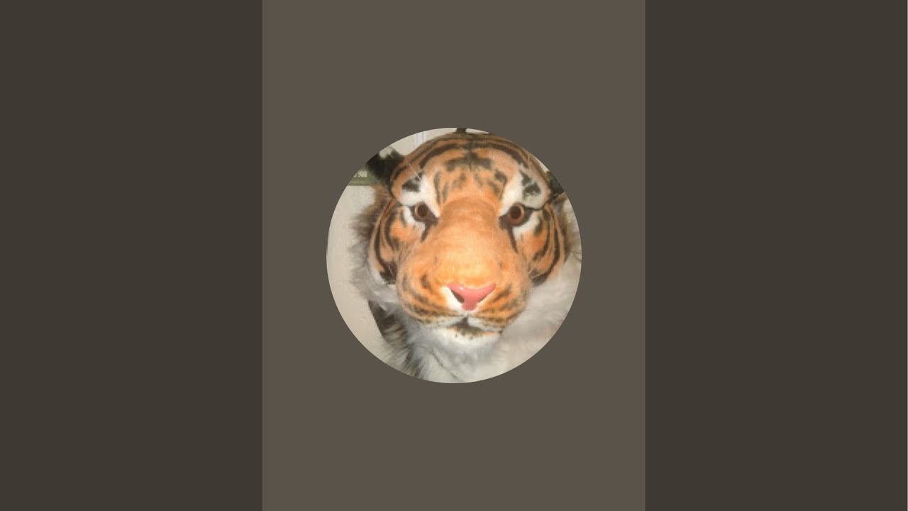Red screen Tiger is live! Durant - YouTube