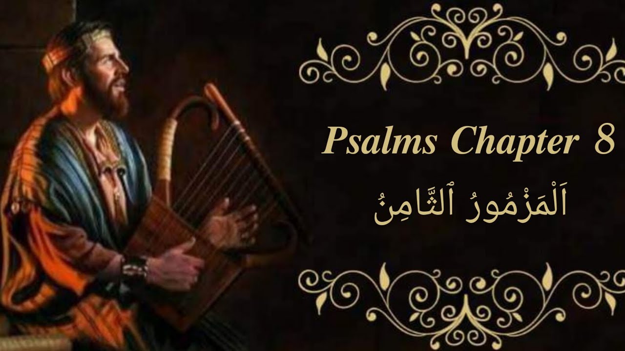 the-psalms-chapter-8-by-christine-louise