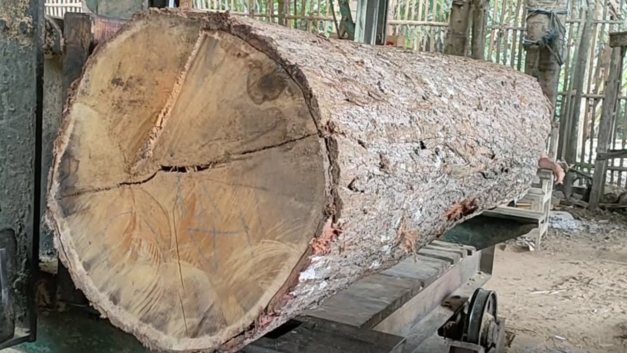 the process of cutting super acacia wood in a sawmill - YouTube
