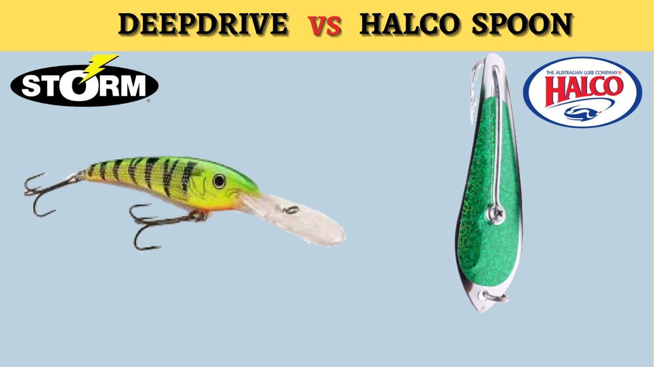 Halco Spoon vs Storm Deep drive lure for King fish - YouTube