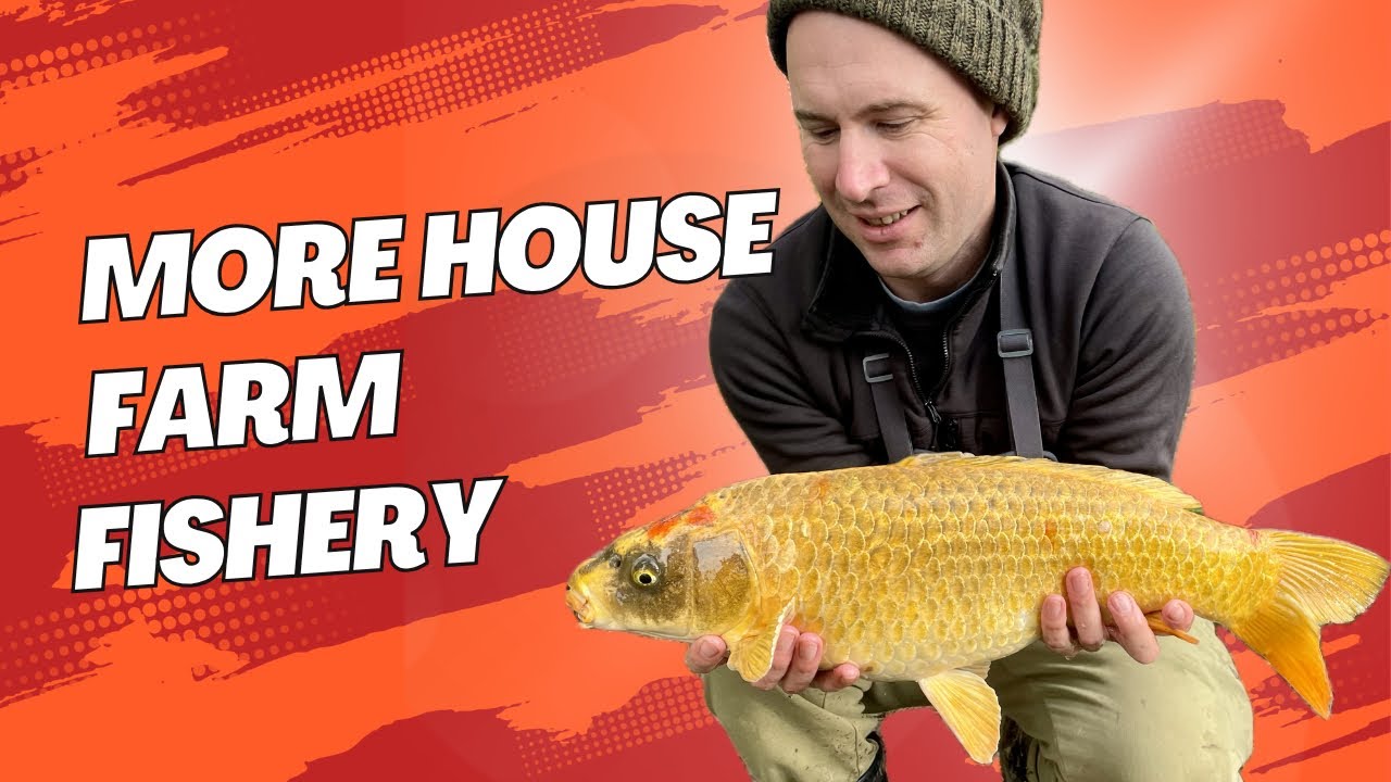 Day Ticket Fishing At More House Farm Fishery - YouTube