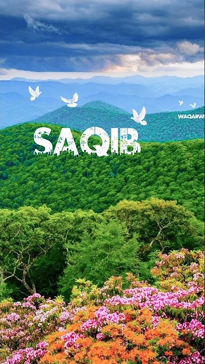 SaqiB name dp video status 🎉 #love #video #status #name #foryou - YouTube