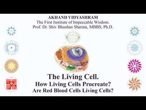 The Living Cells - Definition - Amazing New Questions on Red Blood ...