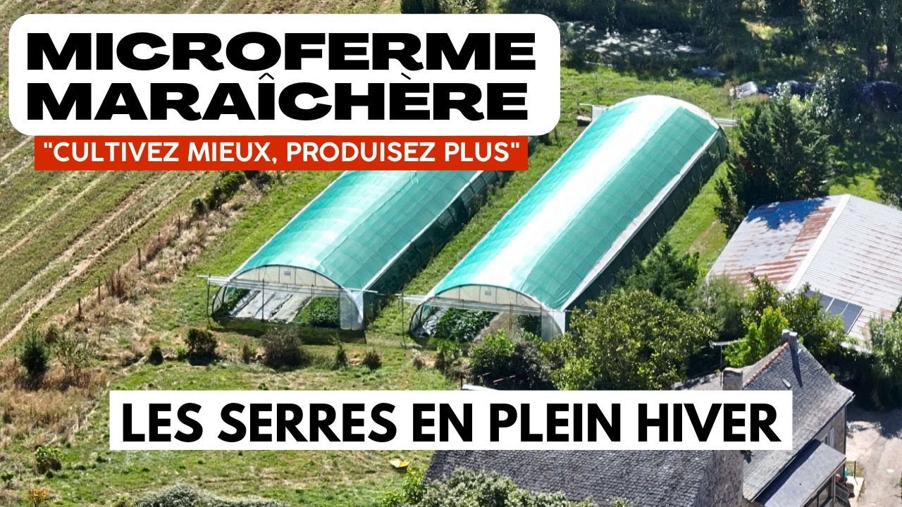 Comment gérer une serre en plein hiver ? Astuces et bonnes pratiques ...