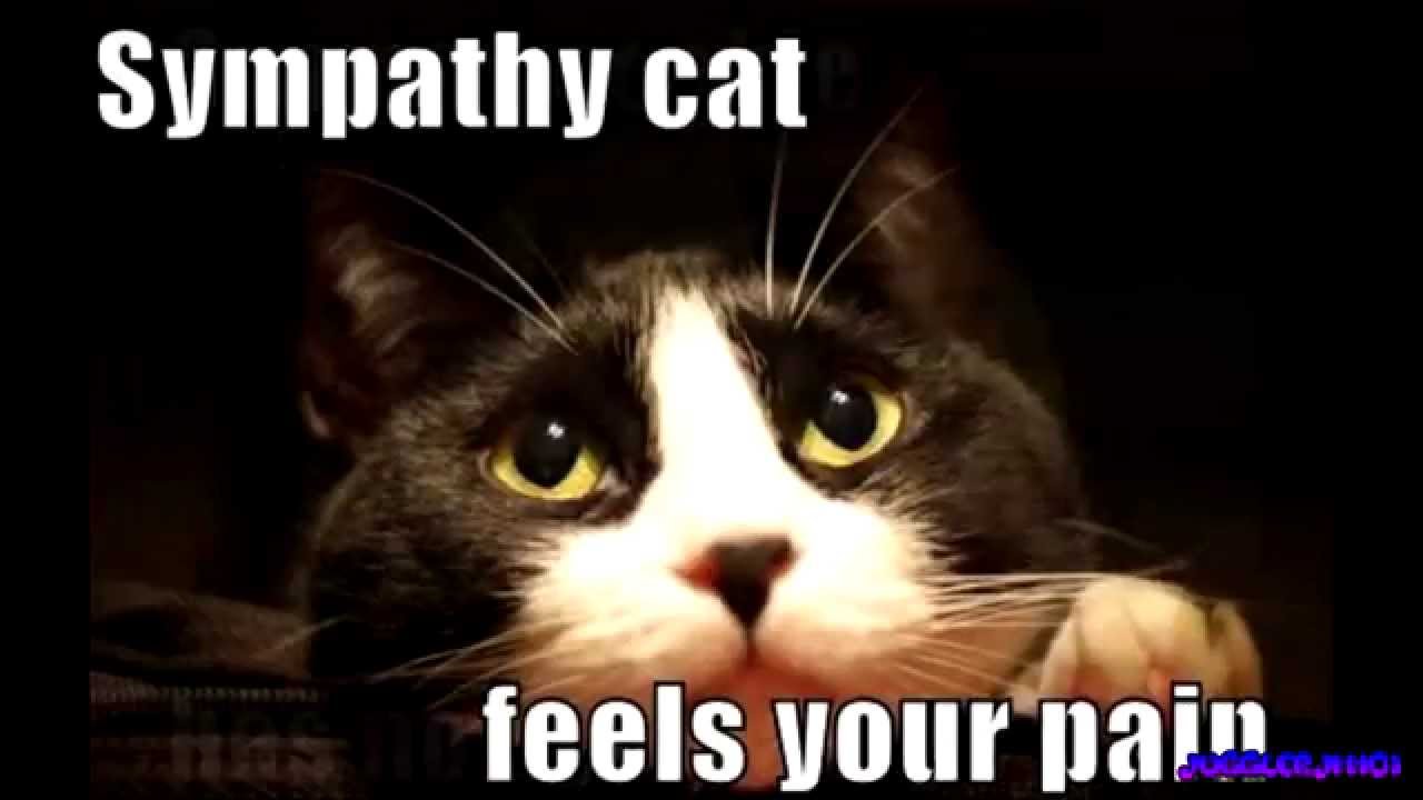 Sympathy - Hearts and Flowers from the World's Smallest Violin - YouTube