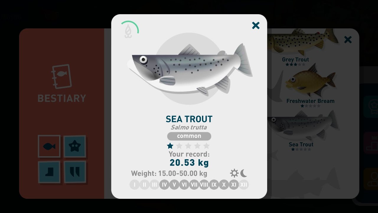 Creatures of the Deep - Sea Trout - YouTube
