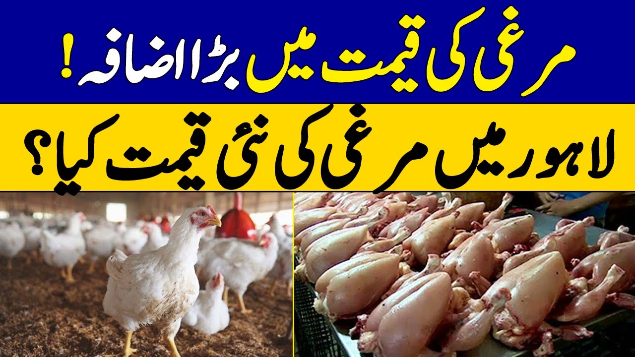 Big Increase In Chicken Prices | Latest Chicken Price Update? | Chicken ...