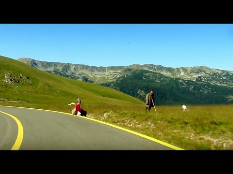 Transalpina 6: De la Iezerul Muntinului spre Obarsia Lotrului (pana ...