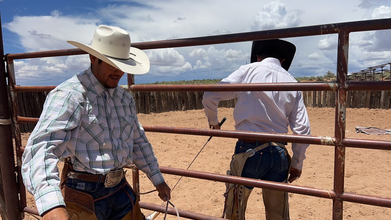 Painted Desert Ranch is going live! - YouTube