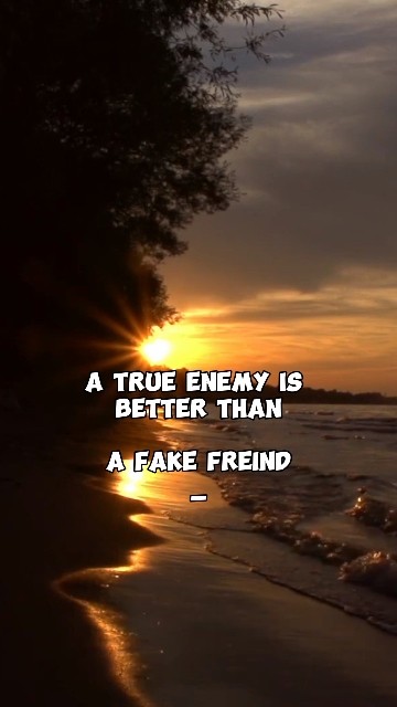A true enemy is better then fake friend #shorts - YouTube