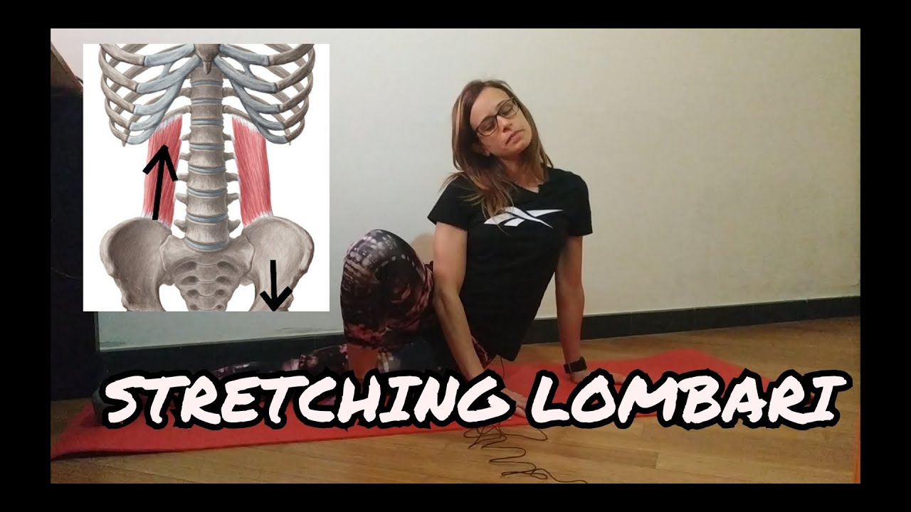Stretching per il muscolo "quadrato dei lombi" _ Lombari e parete ...