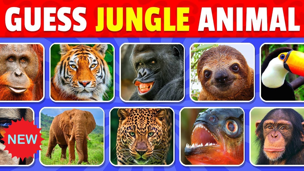 Guess 50 Jungle Animals in 5 Seconds | Easy, Medium, Hard #quiz # ...