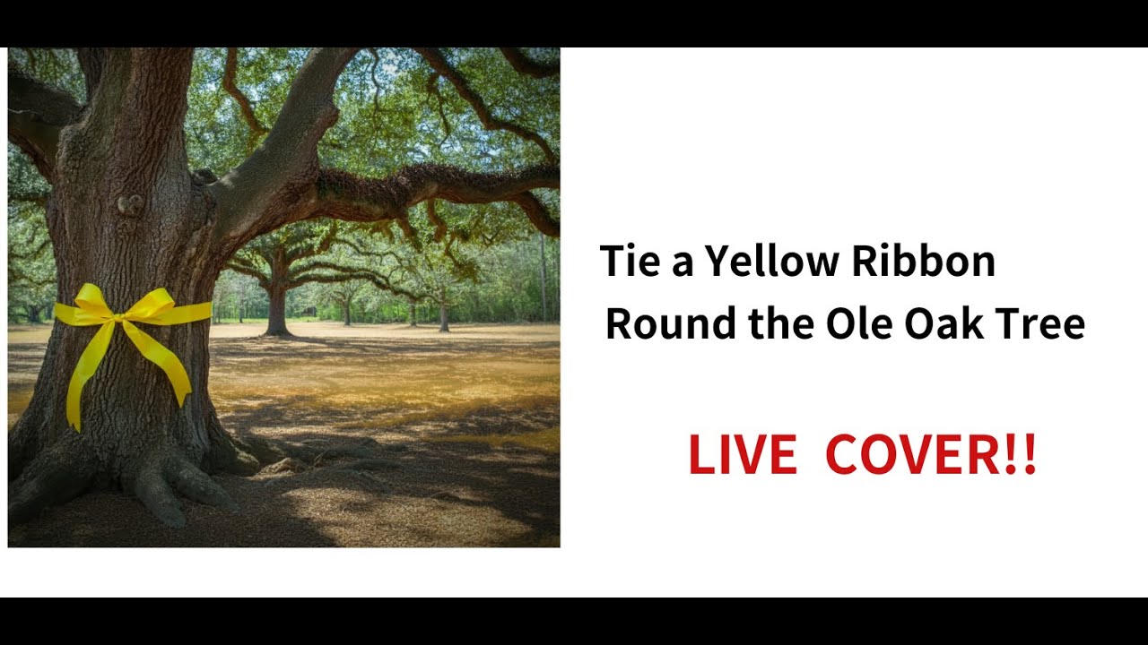 Tie a Yellow Ribbon Round the Ole Oak Tree; 幸せの黄色いリボン NAGOYA KENTOS ...