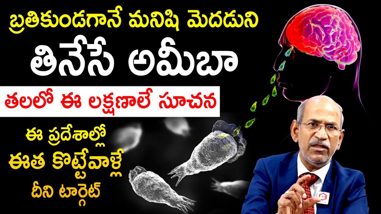 Amoebiasis : Causes, Symptoms And Treatment | How To Protect Yourself ...