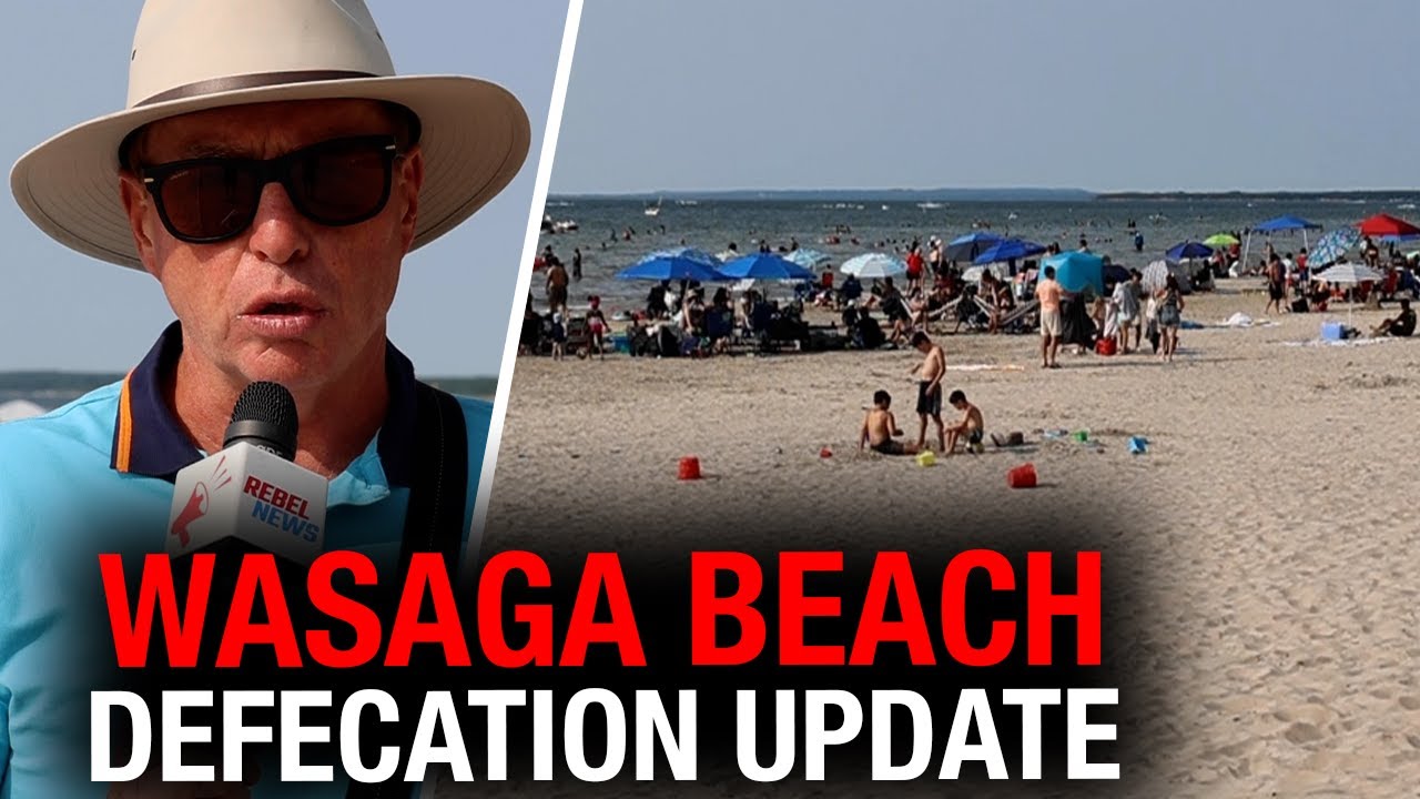 Wasaga Beach mayor denies certain people are defecating on the beach ...